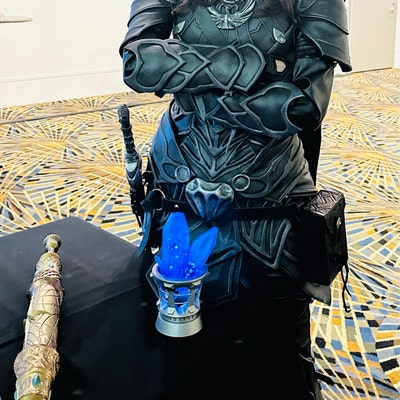 Leather Armor Dragon Scale Tassets and Cod Piece - Etsy