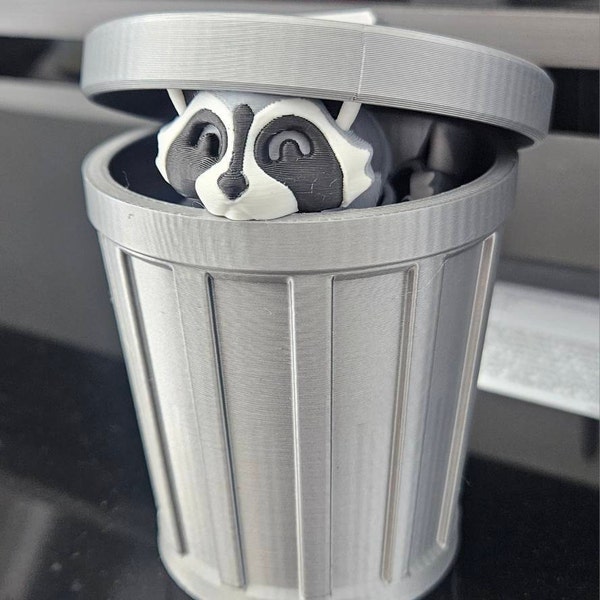 3D Printed Raccoon Fidget, Sensory Toys, Trash Can Storage Container ...