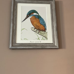 Wren Illustration by Kevin Wood Produced as a Print on Quality Textured ...