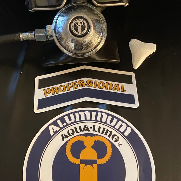 Knocko Nolan's St. Paddy's Day 1966 T-shirt Book of Quint - Etsy