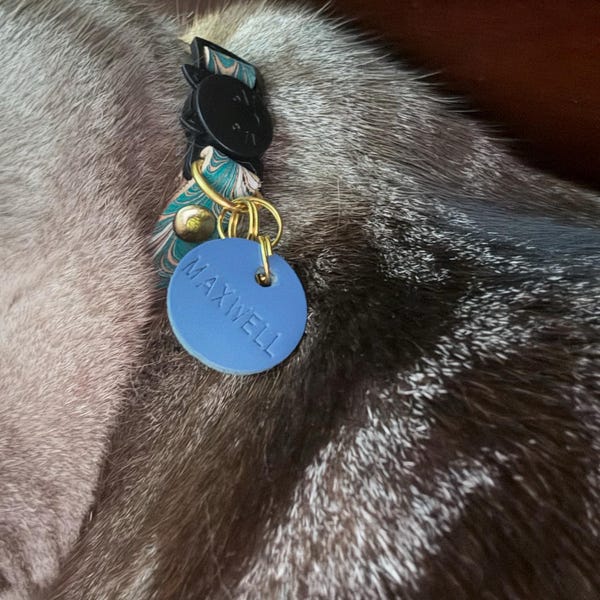 Cat Tag, Leather Tag, Silent ID Tag, Personalized Cat Tag, Small Dog ...