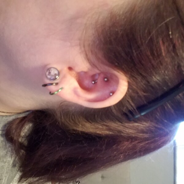 Full Moon Picture Plugs Gauges - 16g, 14g, 12g, 10g, 8g, 6g, 4g, 2g, 0g ...