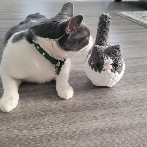 Blind Box Fish Series 1 - Crochet Amigurumi Plushie - Etsy