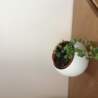 Pastel Coloured Rounded Cube Pot Planter Pot With Feet - Etsy