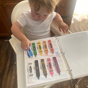 Color Sorting / Matching Sensory Bin for Toddlers - Etsy