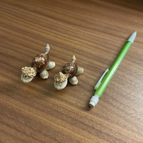 Seashell Cowrie Turtle Shell Tiny Turtle Made From Cowry Sea Shell ...