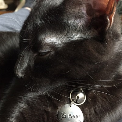 Dog Tag Cat Tag Pet ID Tag 1 Round Hand Stamped Pet Name Tag Domed ...