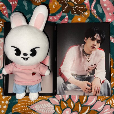 Skzoo Hoodie Set, Stray Kids Plushies, Skzoo Outfits, Skzoo Clothes ...