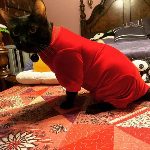 Clothes for Cats, Cat Bathrobe: Handmade Luxury for Your Feline Friend ...