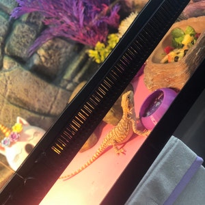 Repti Vent DIY Reptile Threaded Terrarium Air Vents 2x Pack | Etsy