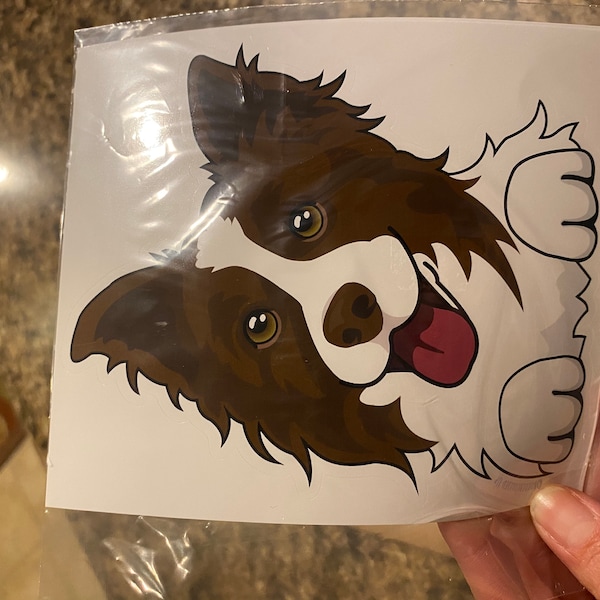 Border Collie Sticker for Border Collie Lover Water Bottle Decal for ...