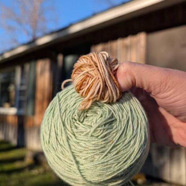 Toe Beans, Sock Club, 85/15 Superwash Merino/nylon Blend, 480 Meters ...