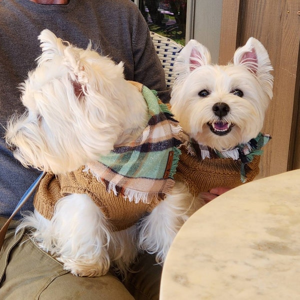 Pet Bandana ronan Green, Brown and White Plaid With Frayed Edges Cotton ...