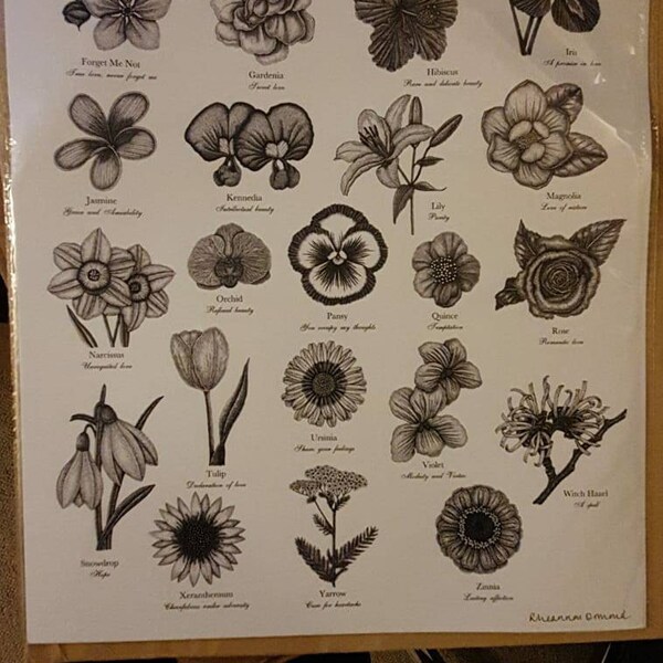 Victorian Language of Flowers Print - A to Z of Flowers - Flower ...