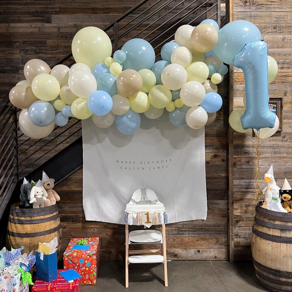 One Silly Goose Balloon Garland Balloon Arch Silly Goose Birthday Party ...