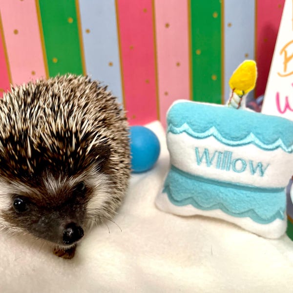 Ball Python Pastel Watercolor Snake A Plushie Stuffed Animal Friend ...