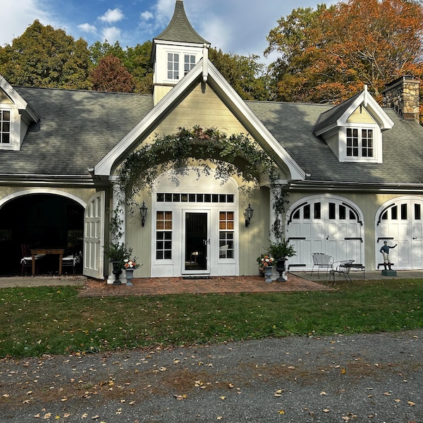 Gunnii Eucalyptus Greneery Foliage (fresh Cut) - Etsy