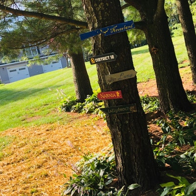 Hand Painted Distressed Wooden Directional Signs, Fantasy Directional ...