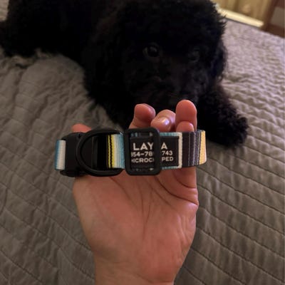 Treeline Dog Collar Trees Forest Nature Outdoors - Etsy