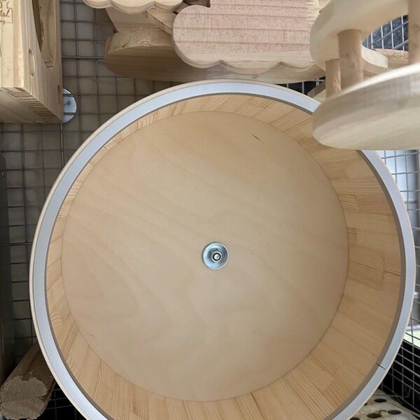 15 381mm Big Wood Running Wheel, Exercise Wheel, Mounted on Stand ...