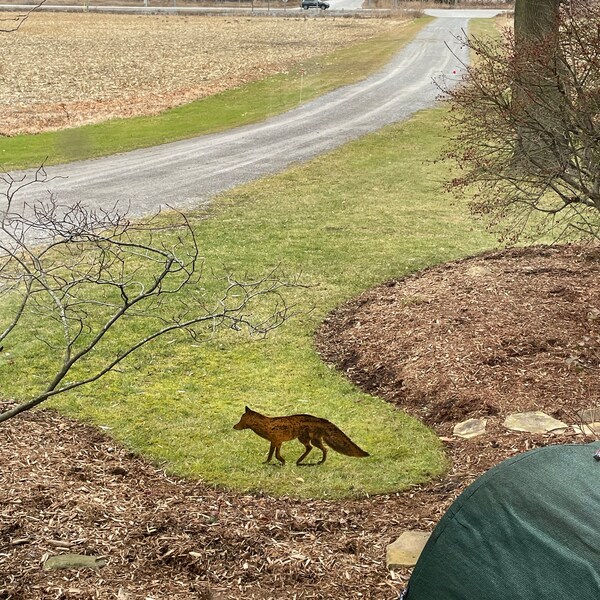 Rustic Metal Fox Garden Sculpture | Weathered Fox Outdoor Decor | Rusty ...