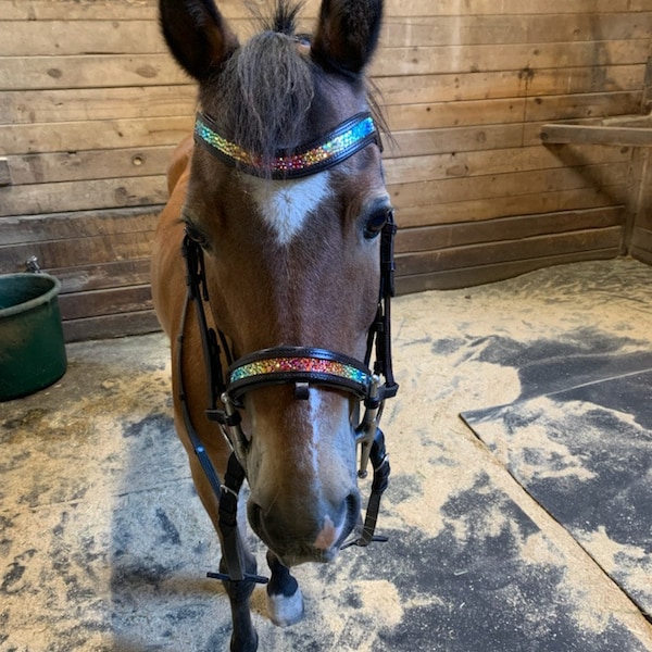 Rainbow Bridle - Dressage Bridle - Fancy Bridal - Bling Headstall ...