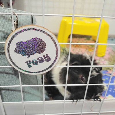 Rat Name Cage Decal for Rat Cage Custom Sign for Rat Cage Accessory for ...