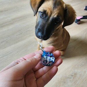 Design Your OWN Custom Pet Tag Personalized Custom Dog Tag - Etsy