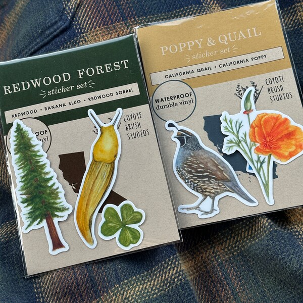 California Poppy & Quail Sticker Set: Two Vinyl Stickers - Etsy