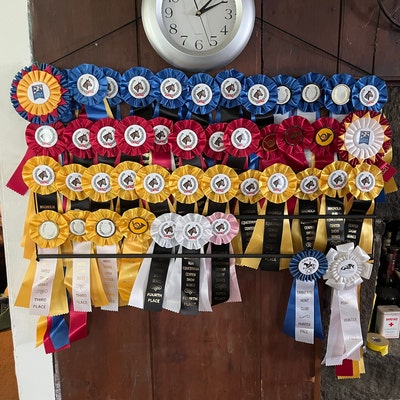 4-H FFA Ribbon Holder Display Award Rack Dog Show Ribbon Holder Award ...