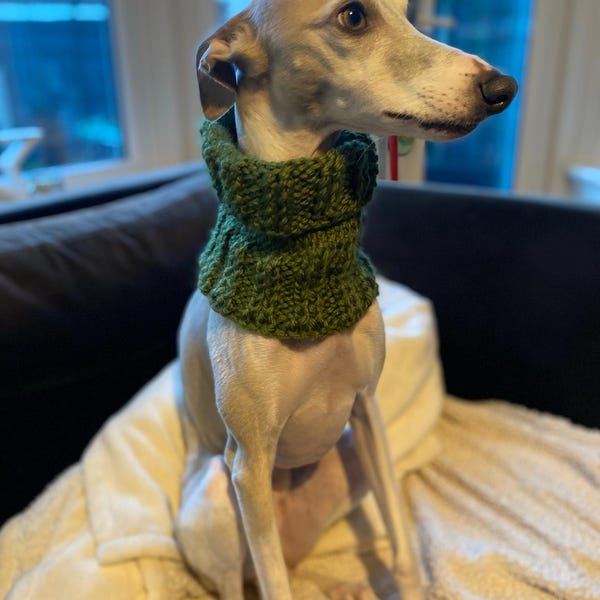 Chunky Knit Snoods | Greyhound | Lurcher | Whippet - Etsy
