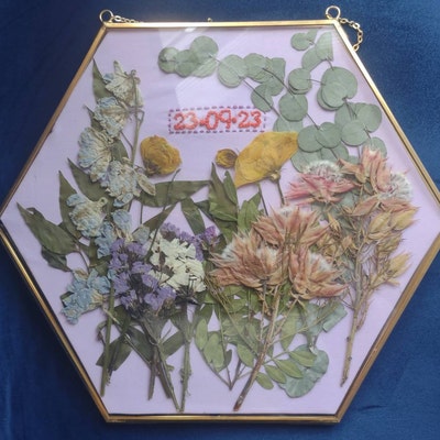 Matte Black Double Glass Floating Frame, Pressed Flower Frames for ...