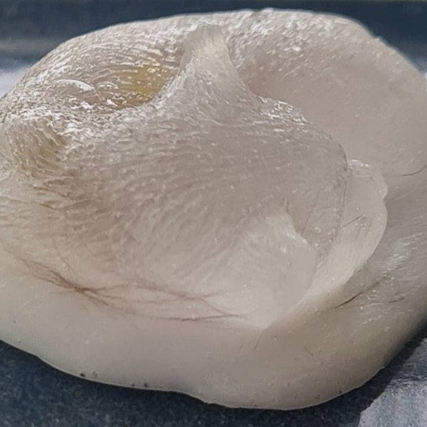 Cat Silicone Mould (mold) - 'sleeping Cat' by FPC Sugarcraft | Resin ...