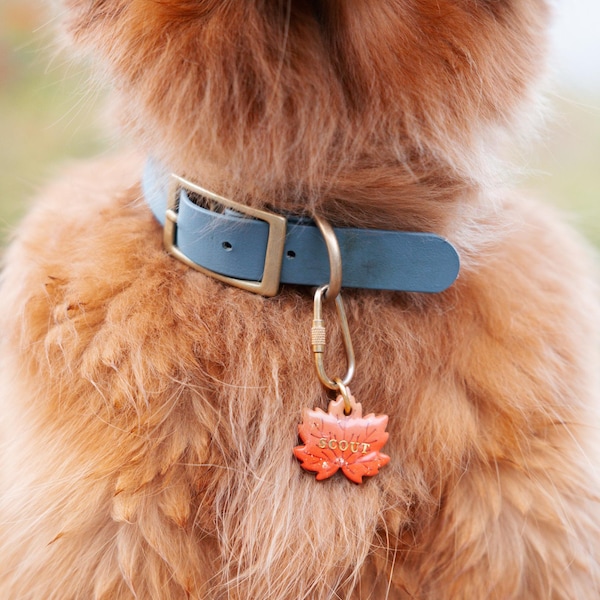 Olive Green Resin Pet ID Tag - Resin, Olive Green, Dog Tag - Etsy