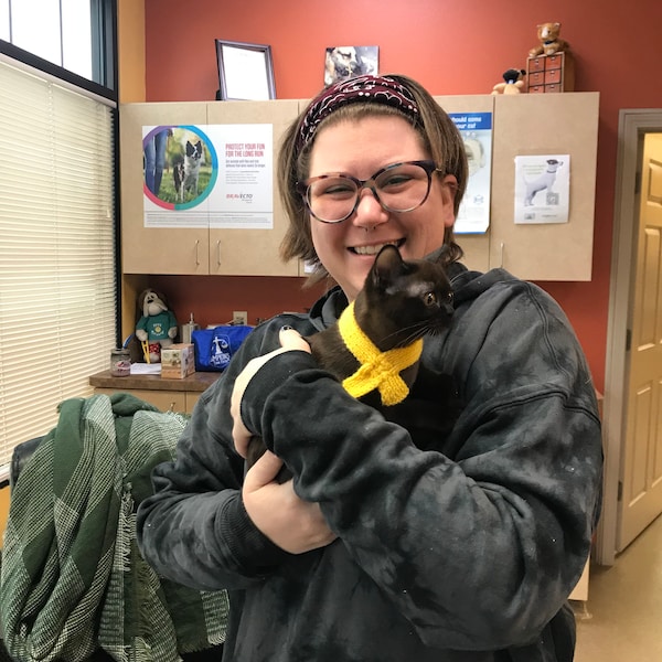 Scarf for Cat, Pet Scarf, Cat Accessories, Kitten Outfit, Gift for Cat ...