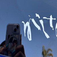 Shark Decal, Finding Nemo Decal, Car Decal, Wall Decal, Laptop Stickers ...