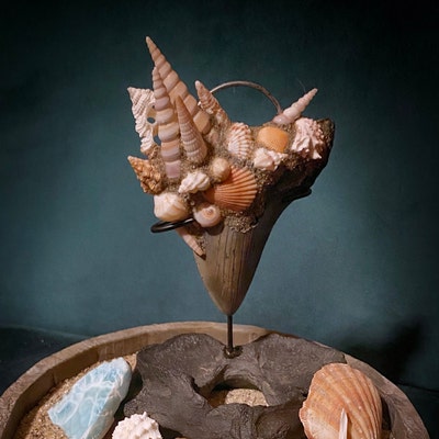 Animal Skull, Goth, Real Skull, Skull Jewelry, Oddities, Animal Bones ...