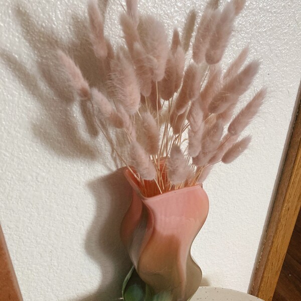 Dried Flower Lagurus pink Beige - Etsy