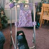 Mr Fox Zimmer Frame Bag, Walking Frame Bag, Accessories, Walking Aid ...