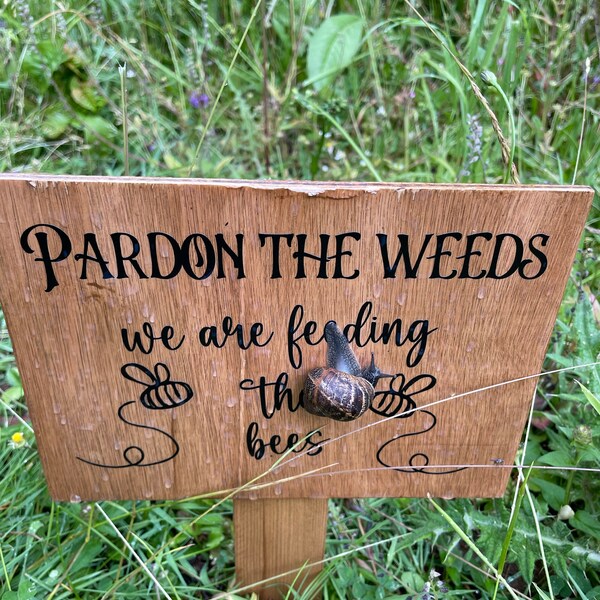 Handcrafted Wooden Triangle Book Saver and Stand, Book Store, Book ...