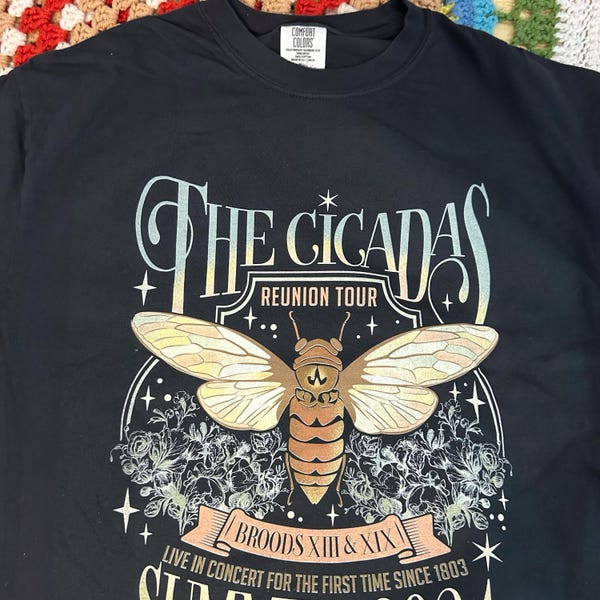 Wizard Flying Car Comfort Colors Shirt, Vintage Style Weasley Car Tee ...