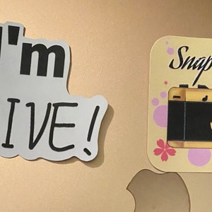 Svt Snap Shoot Sticker / Kpop /seventeen / Matte and Laminated - Etsy