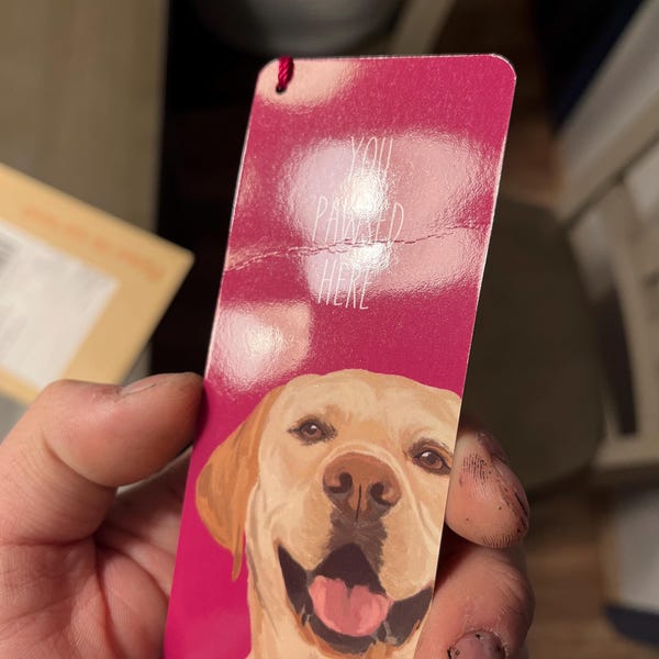 Boxer Dog Card, Fun Boxer Card, Boxer Card, Boxer Dog, From the Dog ...