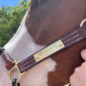 Custom Horse Halter Name Plate Brass Halter Name Tag Custom Equestrian ...