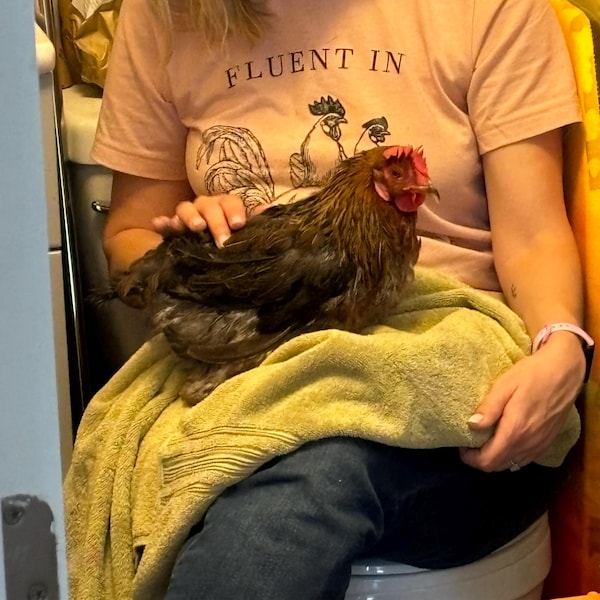 Colorful Dog Paw Heart Shirt, Dog Paw Shirt, Colorful Dog Heart Paw Tee ...