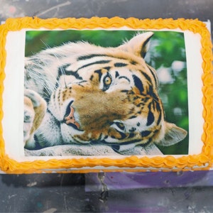 Graduation Silhouette Edible Cake Border - Etsy