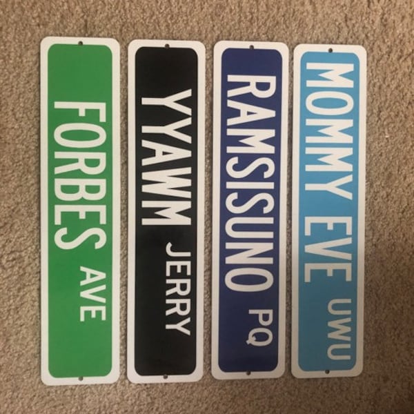 Custom Metal Street Sign, Custom Your Text Street Road, 4" X 18 ...