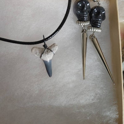 Large Fossilized Cone Shell - Etsy