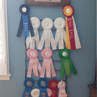 Personalized Show Ribbon Display - Etsy