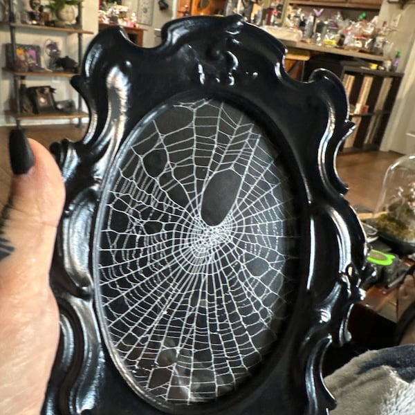 Real Preserved Spiderweb Statement Ring - Etsy